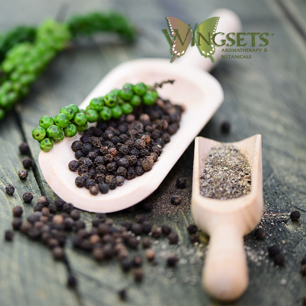 Black Pepper (Piper nigrum) - Wild-crafted Essential Oil – Wingsets