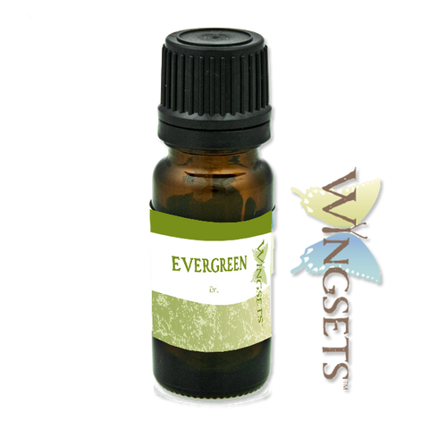 Evergreen Essential Oil Blend – Wingsets